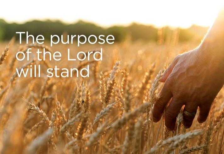 The purpose of the Lord will stand - New ACR Journal
